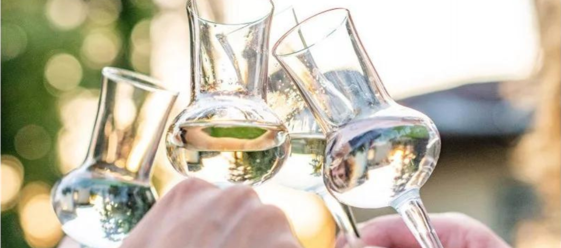 Hungary Alcohol Guide: Traditional Drinks You Need to Taste