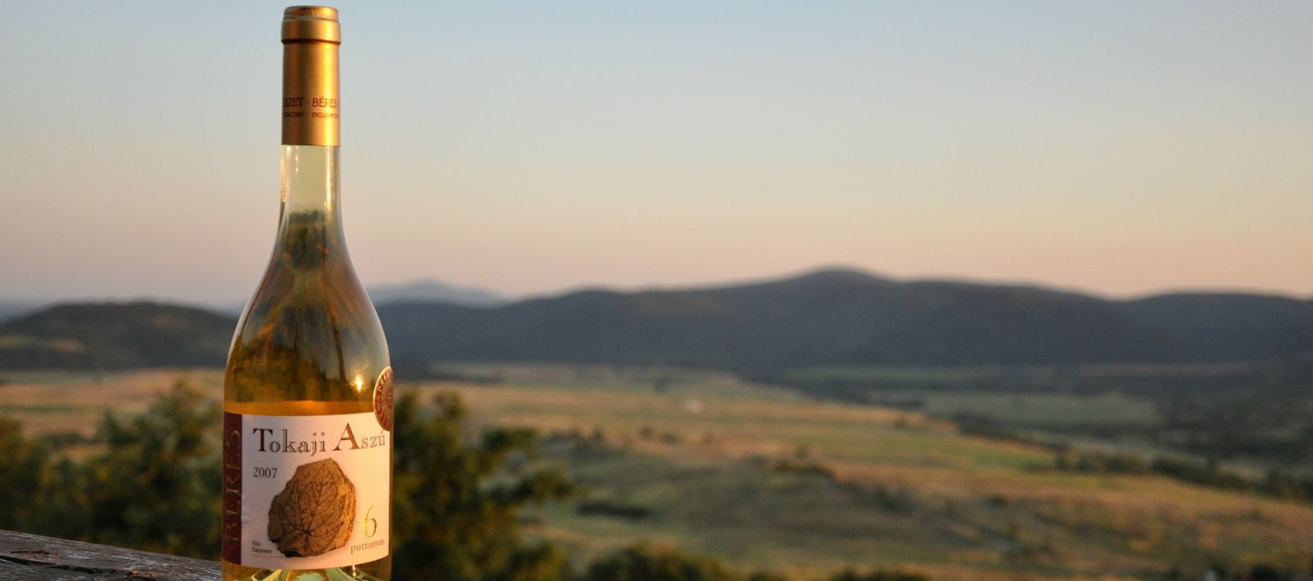 Hungary Alcohol Guide: Traditional Drinks You Need to Taste